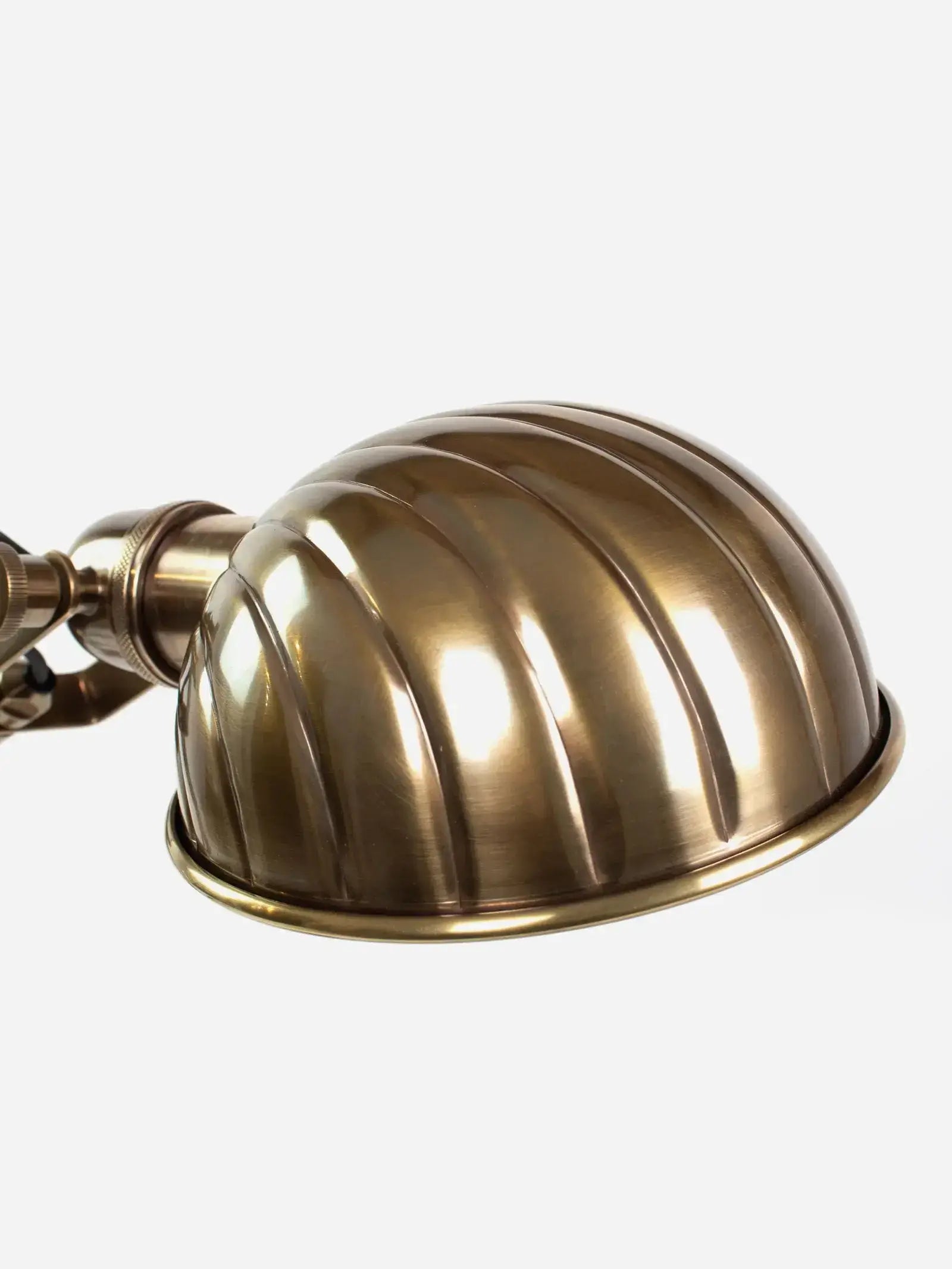 Clam Desk Lamp | Shop online at Marmaduke Shoppe