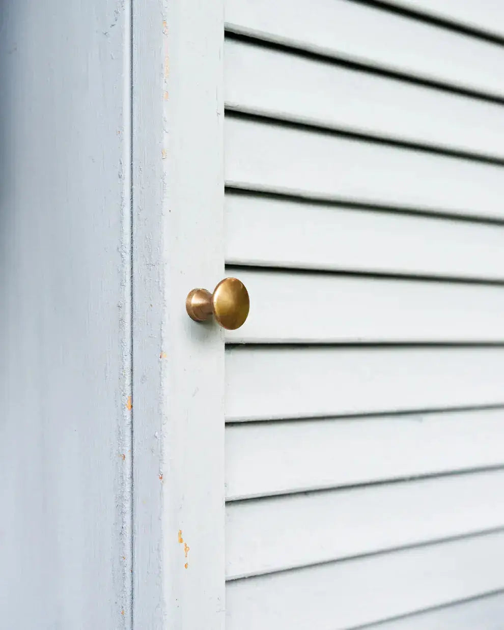 Large Brass Knob | Shop online at Marmaduke Shoppe