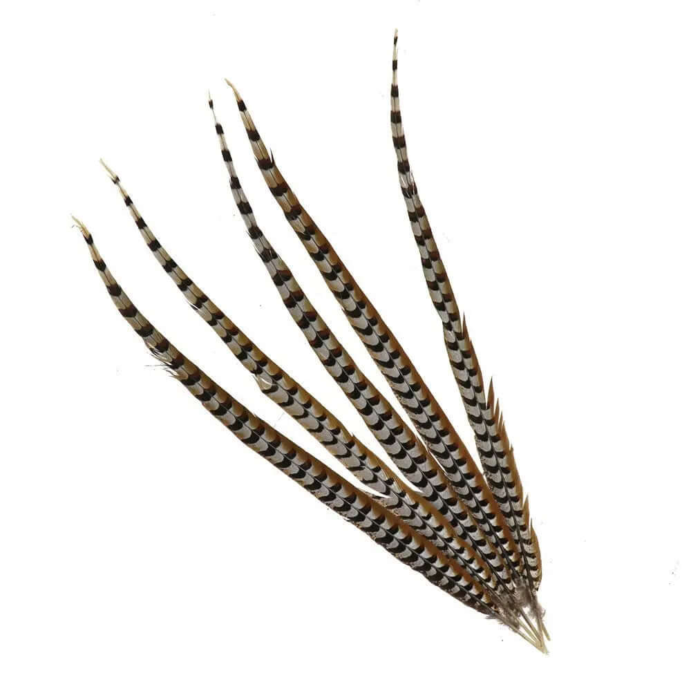 Pheasant Feather | Shop[ Decor online at Marmaduke Shoppe
